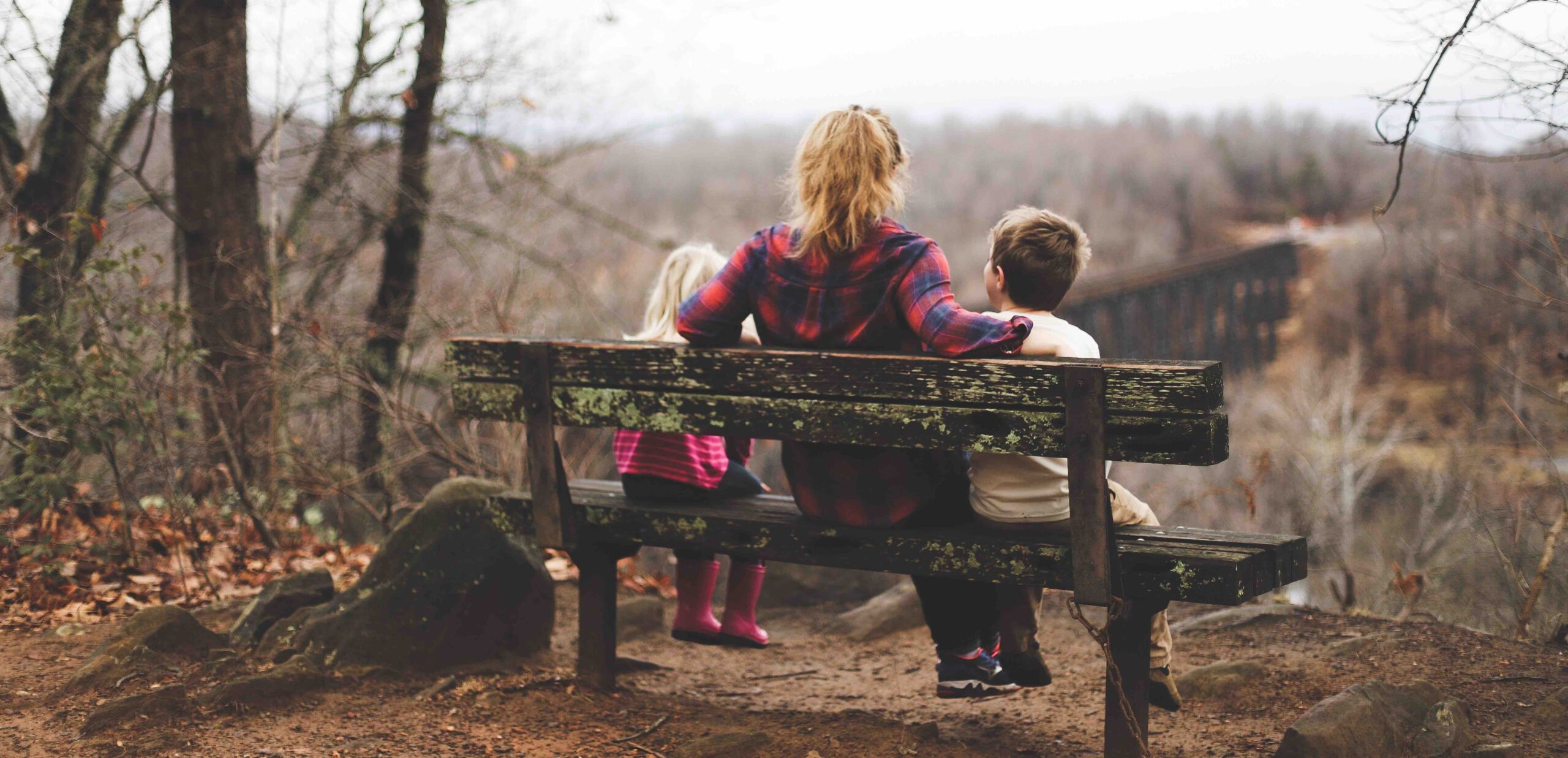 Parenting Plans That Work: Building Stability for Your Children ...